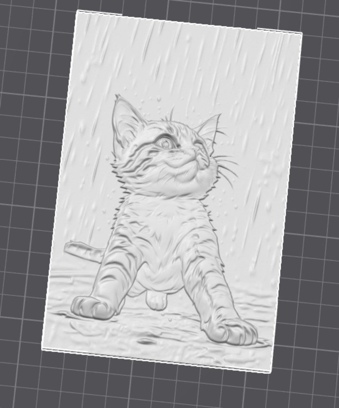 3D Kitten Relief Model – Tabby Cat in Rain (gcode +3MF Files) (digital ...