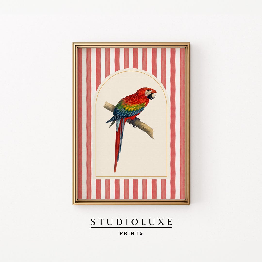 Red Stripe Parrot Art Print, Vintage Macaw Bird Wall Decor, Tropical ...