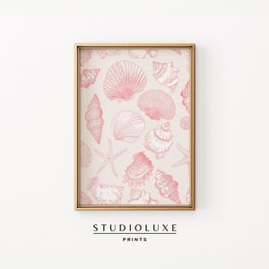 Seashell Pattern Print Beachy Wall Art Coastal Granddaughter Decor ...