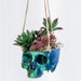 Skull Planter - Etsy