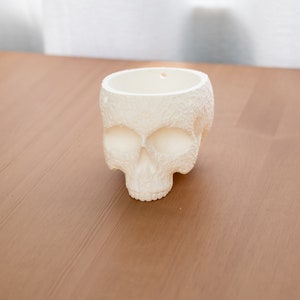 Skull Planter - Etsy