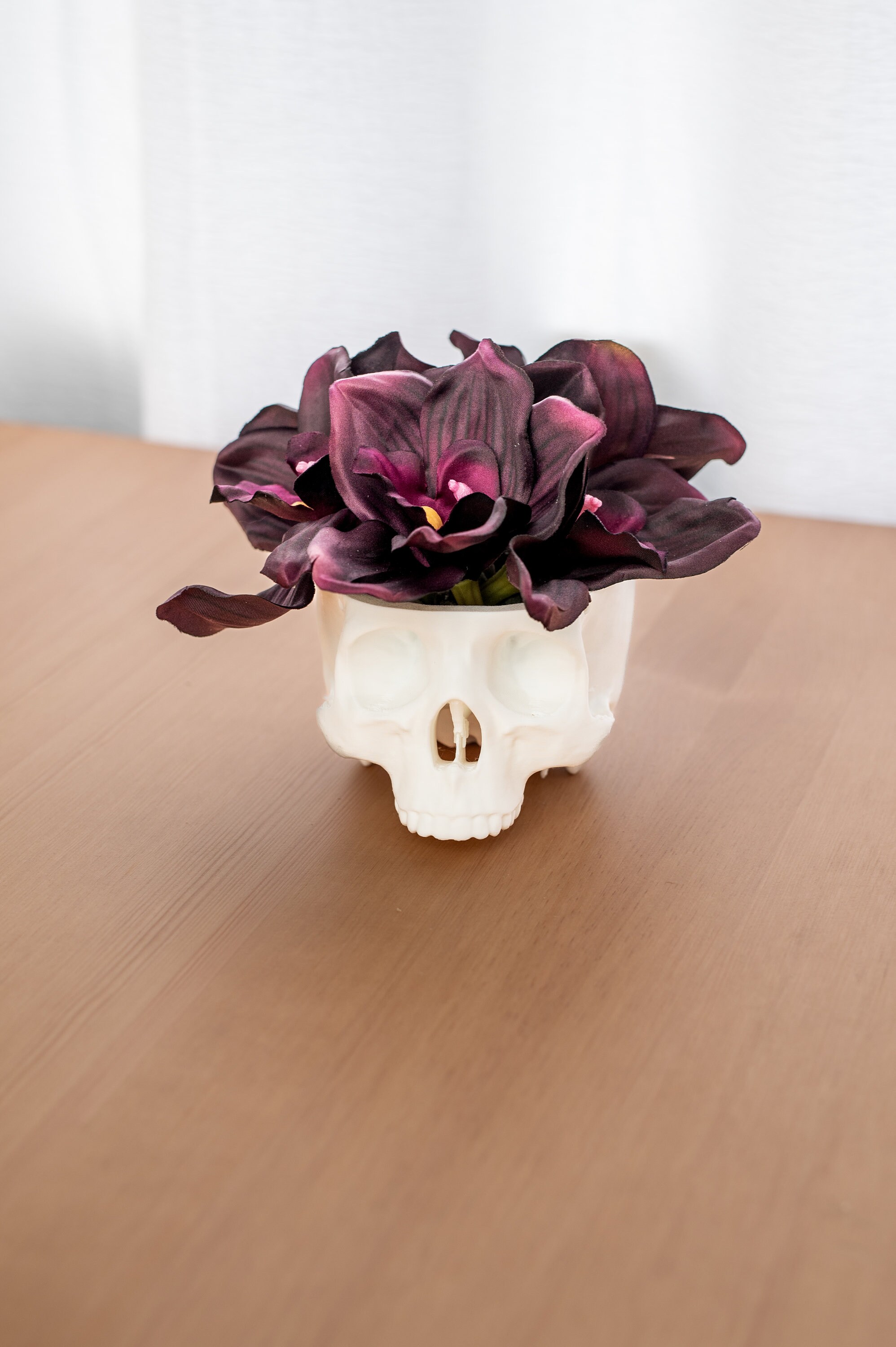 Skull Planter - Etsy