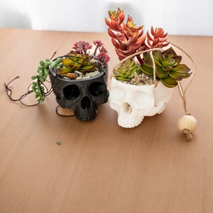Skull Planter - Etsy