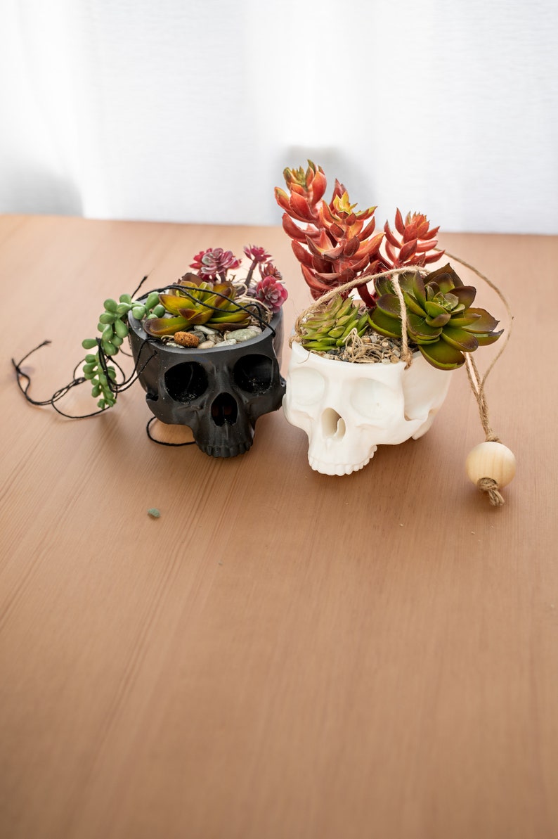 Skull Planter - Etsy