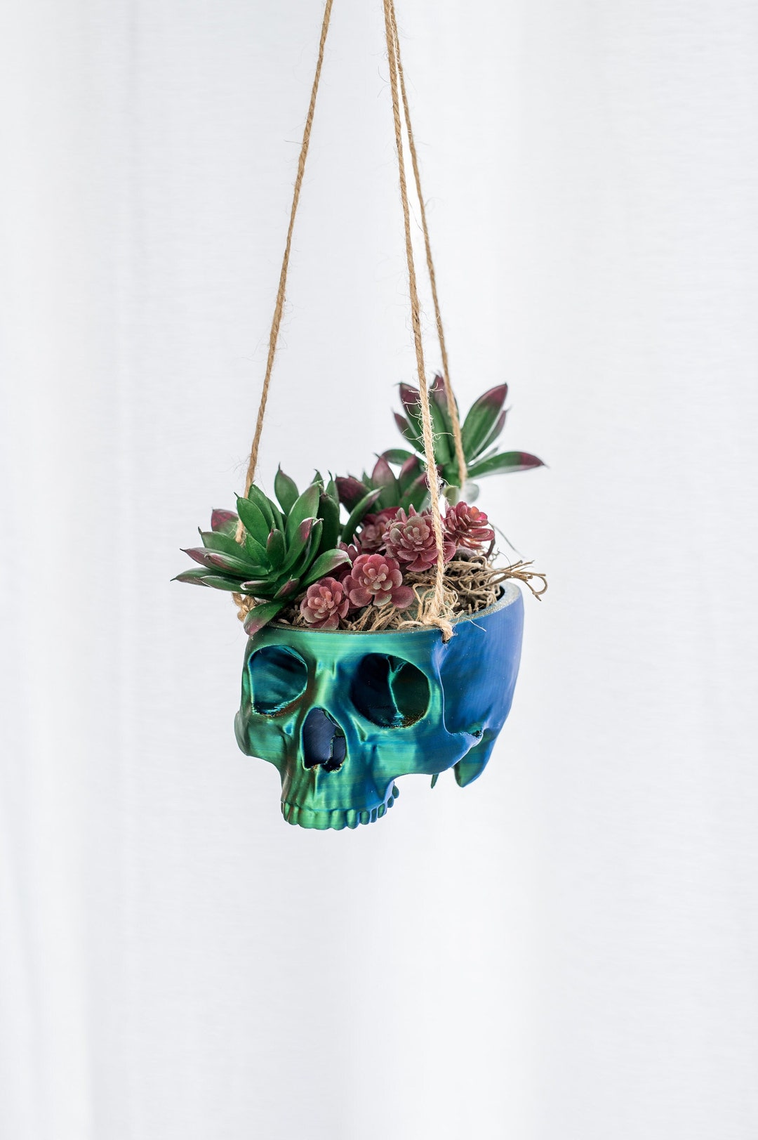 Skull Planter - Etsy
