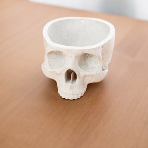 Skull Planter - Etsy
