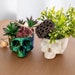 Skull Planter - Etsy