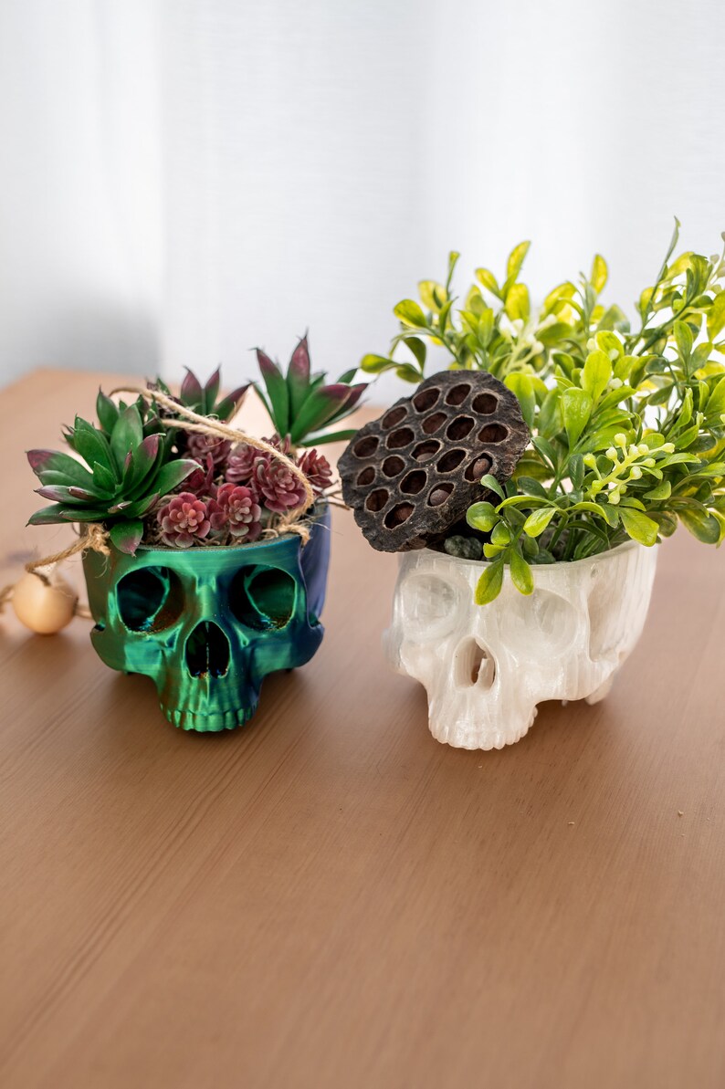 Skull Planter - Etsy