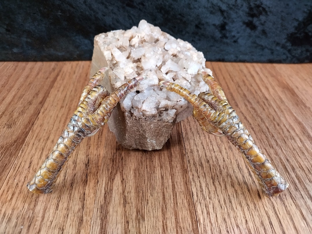 Yellow Chicken Foot Charm | Rock and Roll Sign, Throwing Horns - Etsy