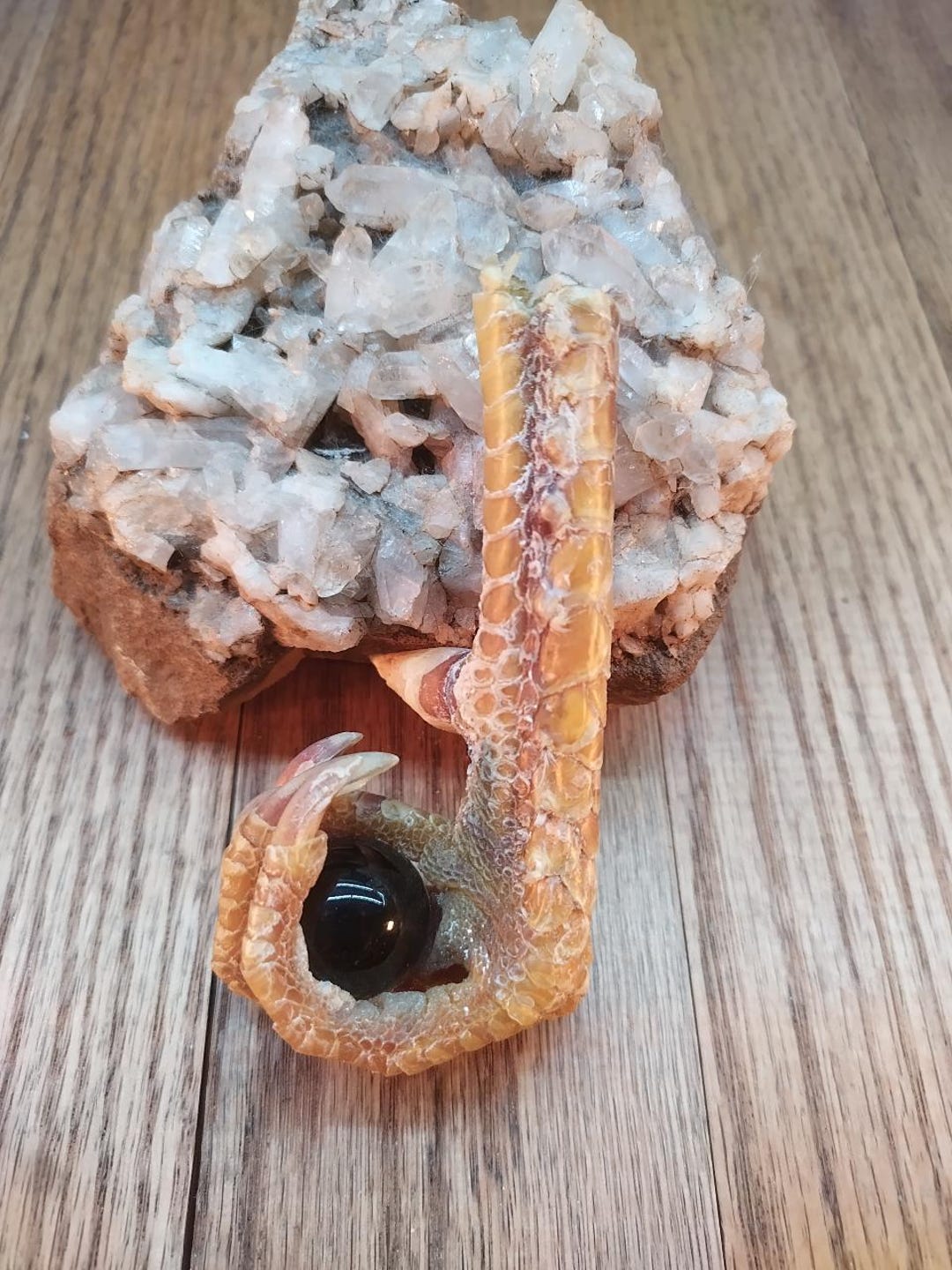 Chicken Foot Charm Holding Obsidian Crystal Sphere - Etsy