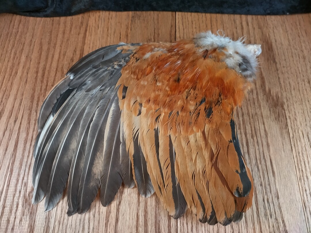 Single Chicken Wing | Smudge Fan, Decor, Costume #CW2 - Etsy