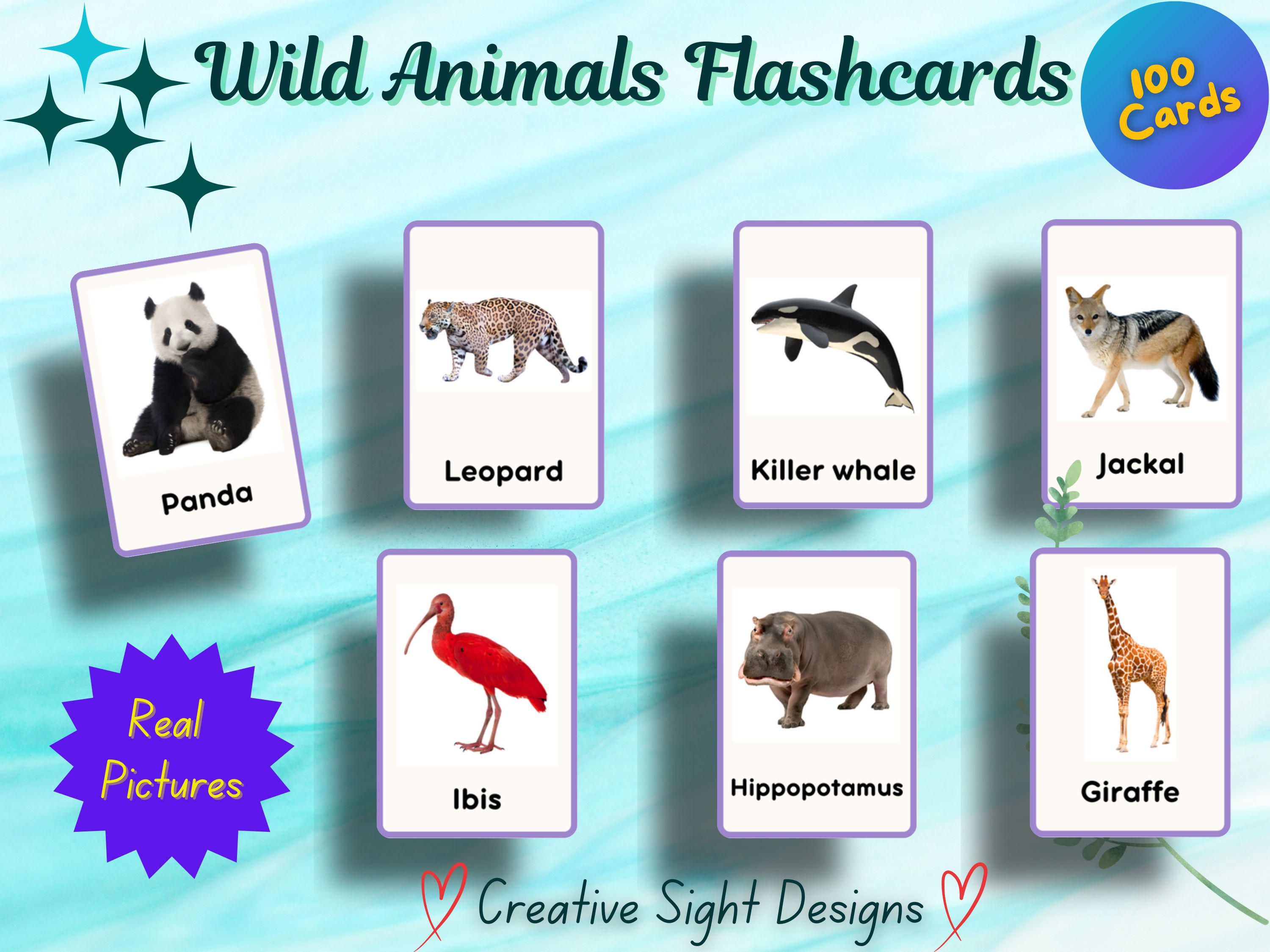 100 Wild Animals Flashcards for Kids Real Images Montessori Cards ...