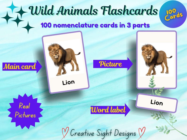 100 Wild Animals Flashcards for Kids Real Images Montessori Cards ...