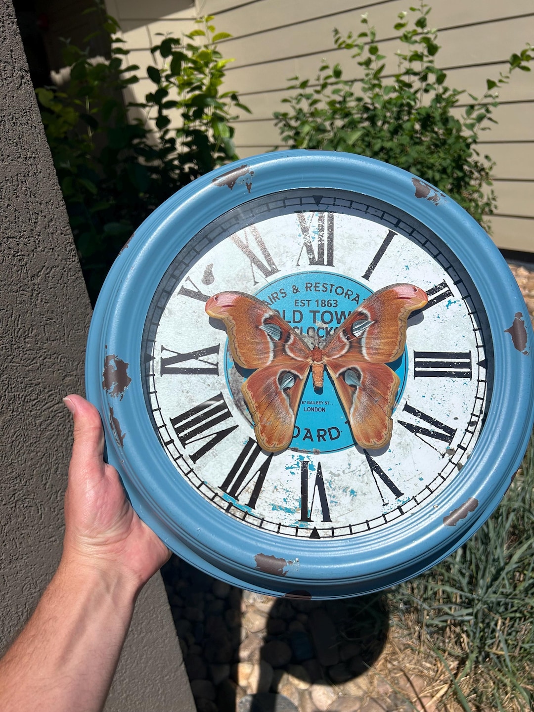 Large Blue Clock With Real Atlas Moth - Etsy