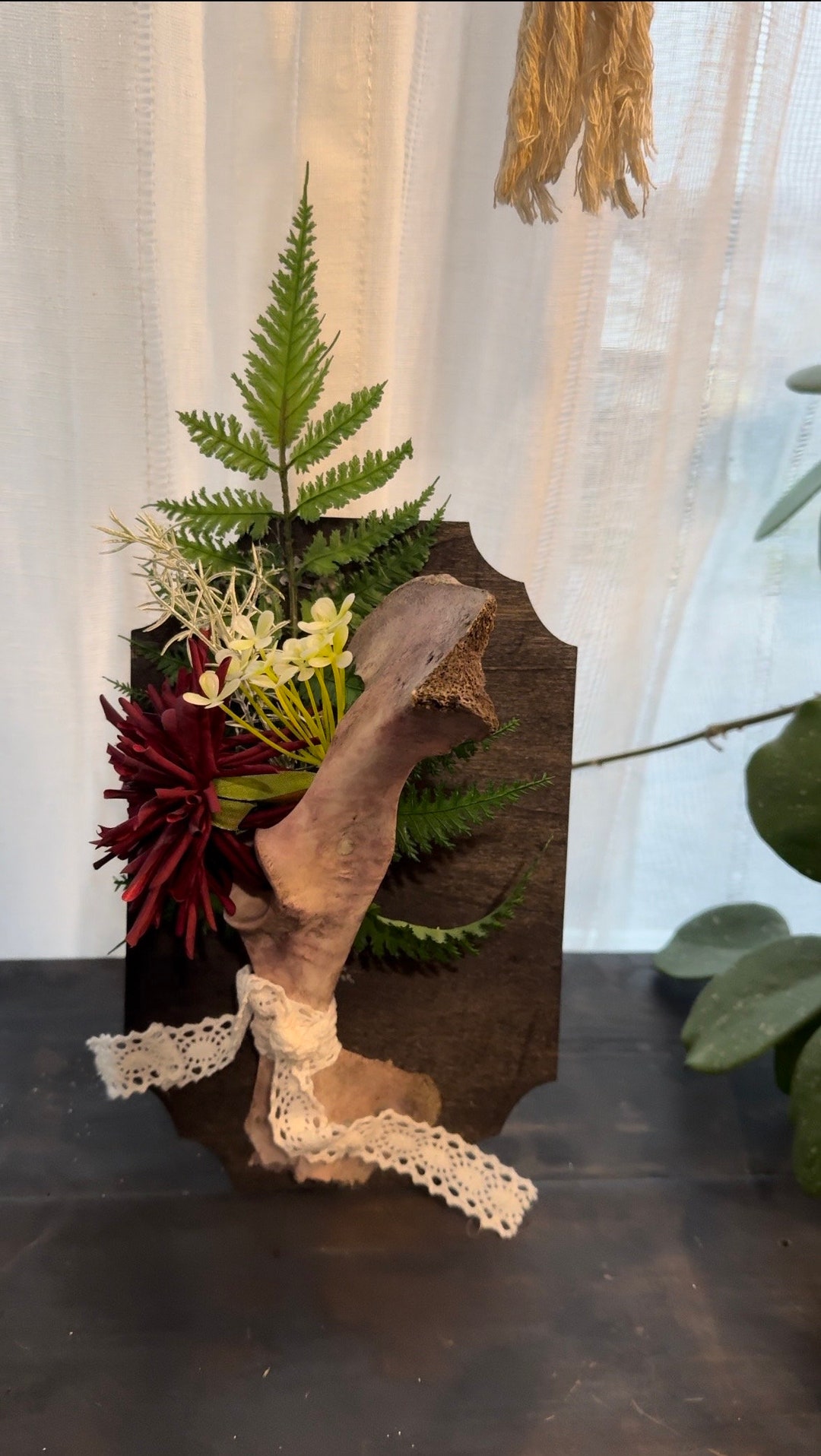 Bone Wall Art - Etsy