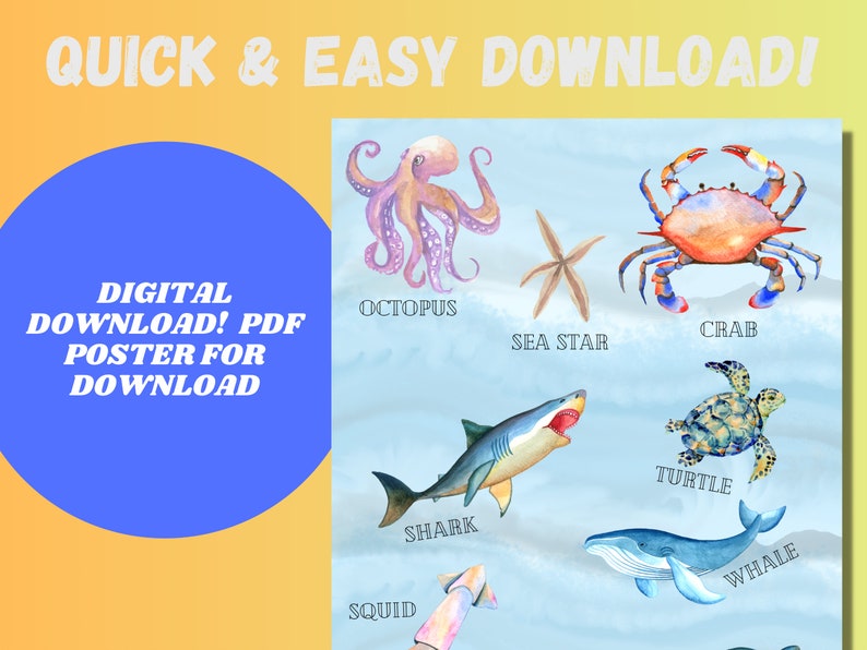 Digital Educational Poster Sea Creatures Watercolor Style - Etsy