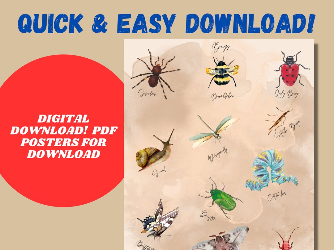 Digital Educational Poster Bugs Watercolor Style - Etsy