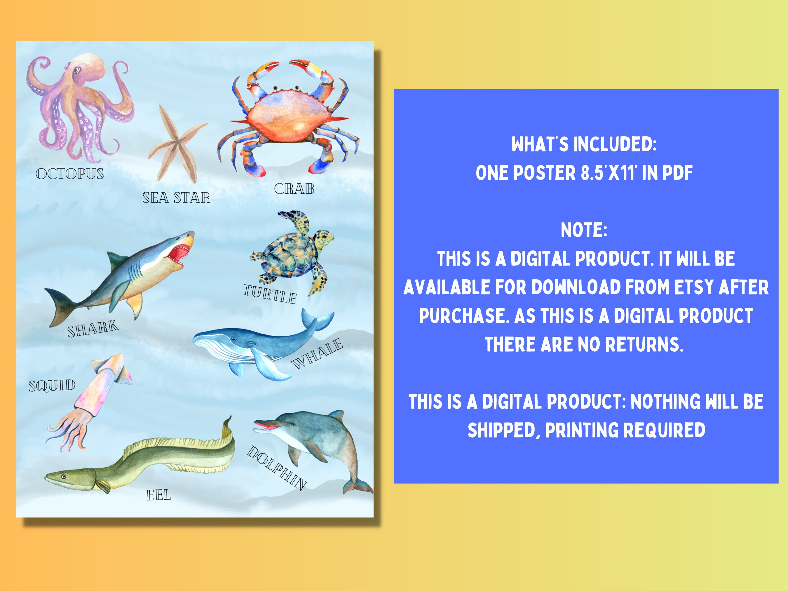 Digital Educational Poster Sea Creatures Watercolor Style - Etsy