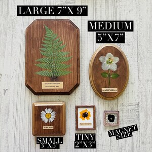 Mini Forest Fern Wall Art | Botanical Fern Wall Hanging | Pressed ...