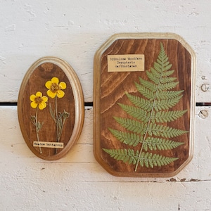 Create Your Own Gallery Wall | Herbarium Wooden Wall Art | Botanical ...