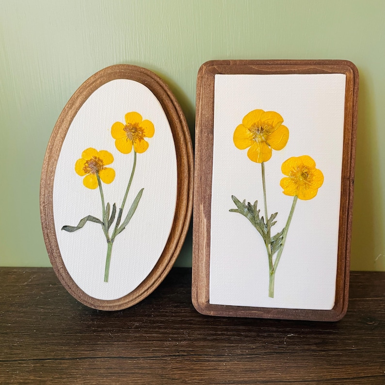 Pressed Buttercup Floral Wall Art: Botanical Oval Canvas Hanging - Etsy