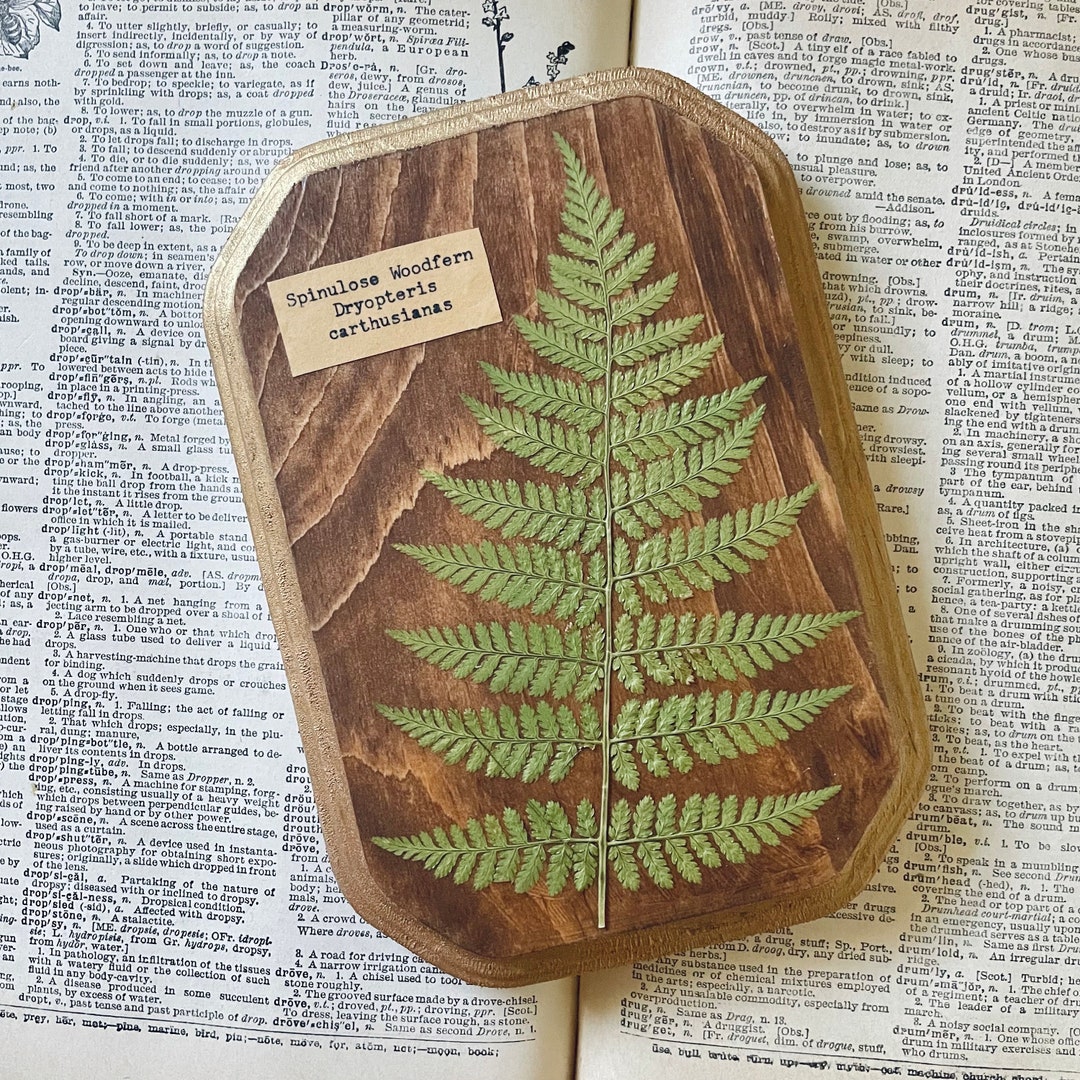 Herbarium Wall Art 5x7 | Botanical Gallery Wall | Pressed Floral Wall ...