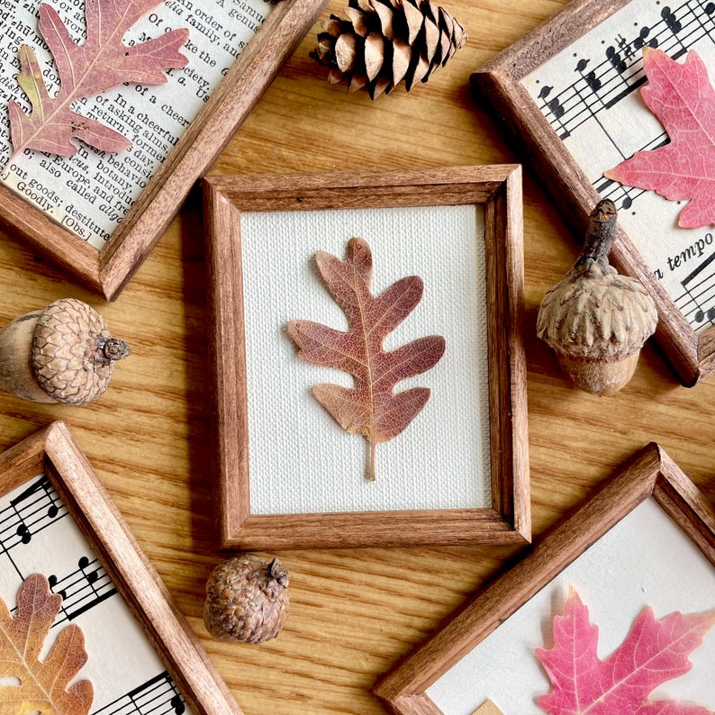 Tiny Framed Pressed Leaf Art: Maple or Oak, Fall Decor (2"x3") - Etsy