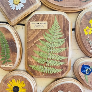 Create Your Own Gallery Wall | Herbarium Wooden Wall Art | Botanical ...