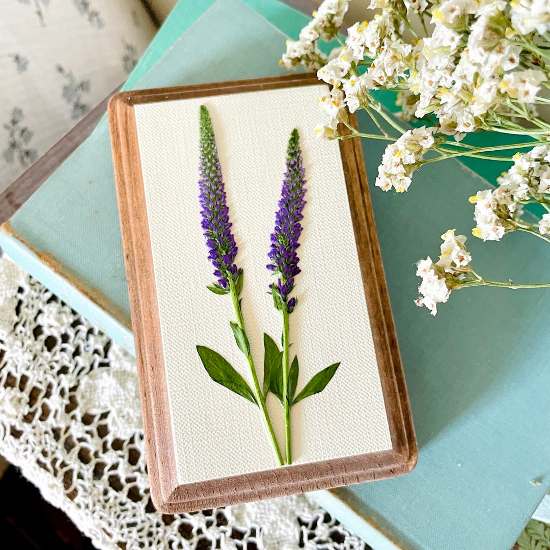 Small Purple Veronicas Floral Canvas Artwork | Botanical Framed Pressed ...