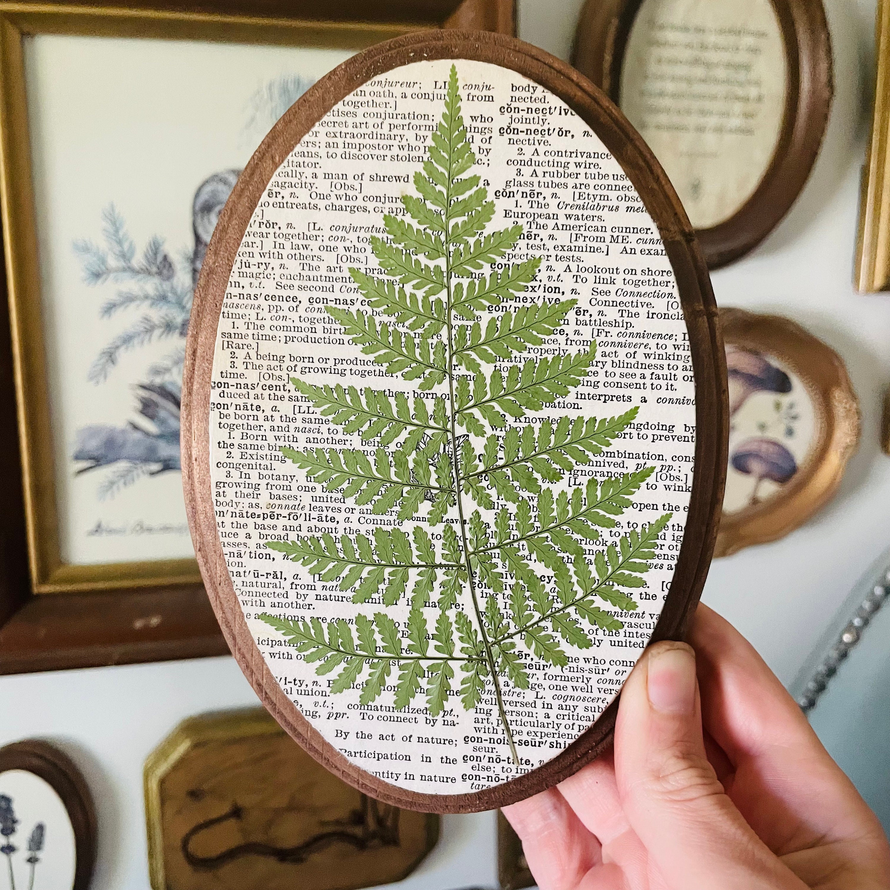 Pressed Flower Art: Vintage Book Page, Oval Botanical Wall Hanging - Etsy