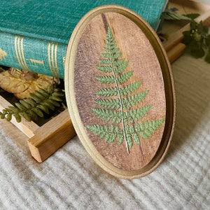 Mini Forest Fern Wall Art | Botanical Fern Wall Hanging | Pressed ...