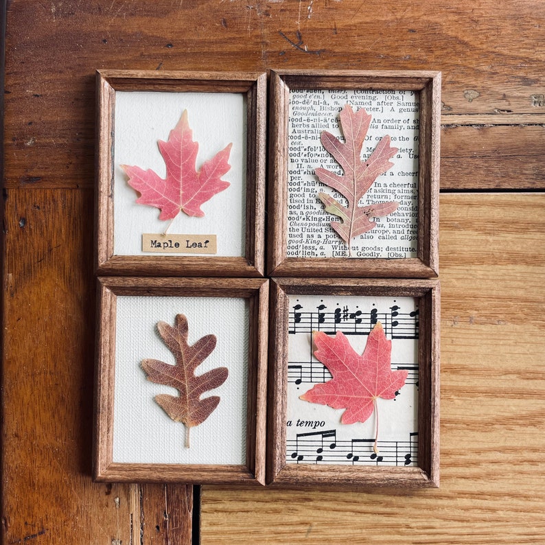 Tiny Framed Pressed Leaf Art: Maple or Oak, Fall Decor (2"x3") - Etsy