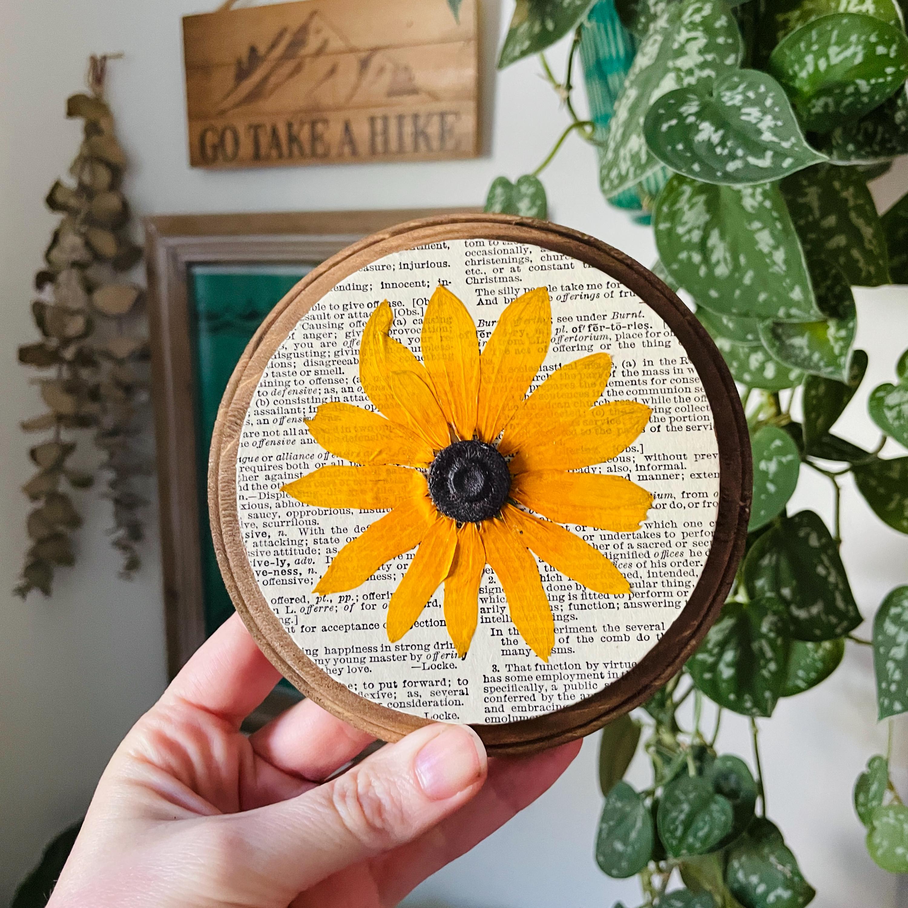 Pressed Flower Art: Vintage Book Page, Oval Botanical Wall Hanging - Etsy