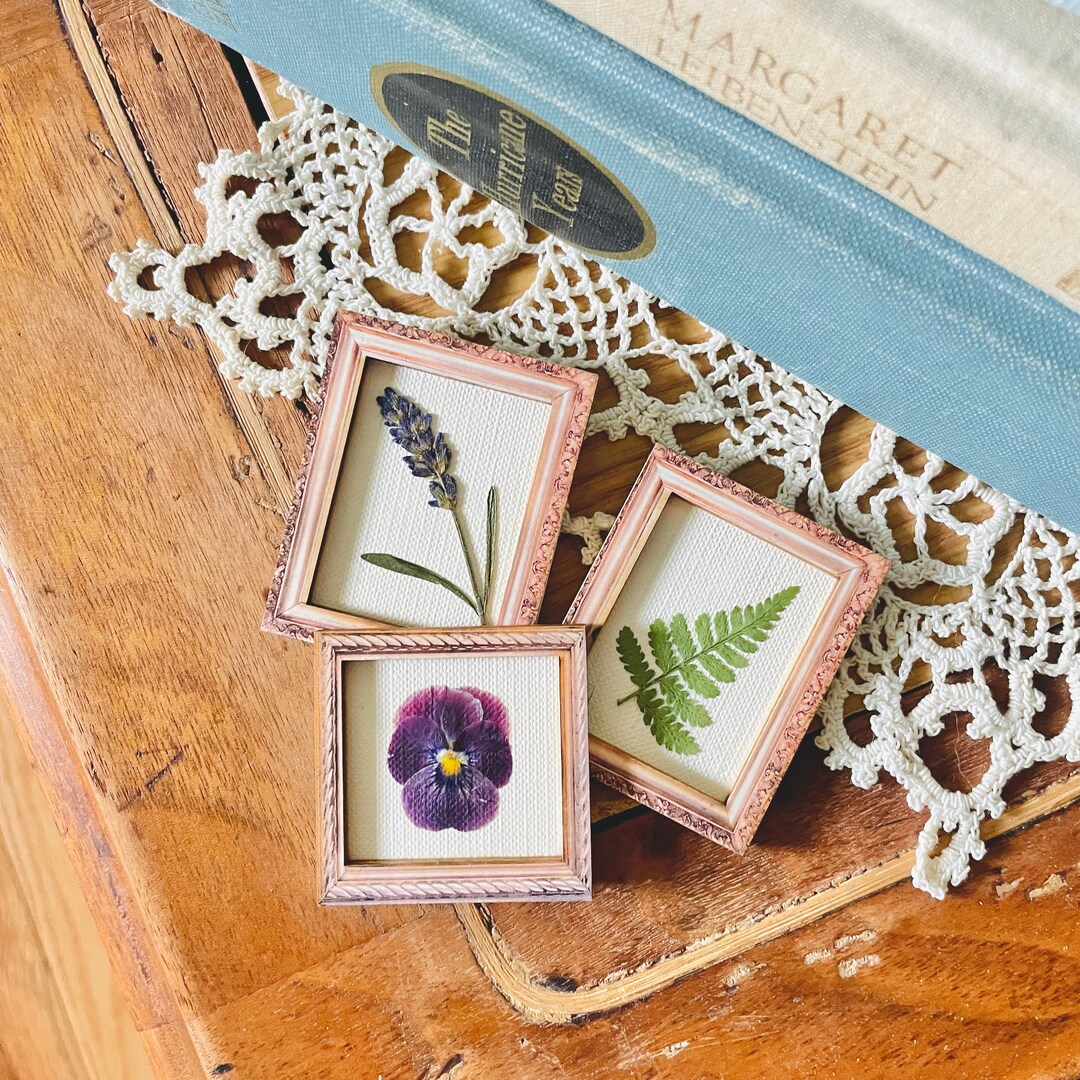 Framed Pressed Flower Magnets Botanical Magnets Pressed Floral Mini ...
