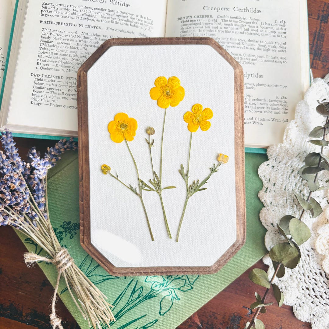 Pressed Buttercup Flower Art: Botanical Oval Canvas Wall Hanging - Etsy