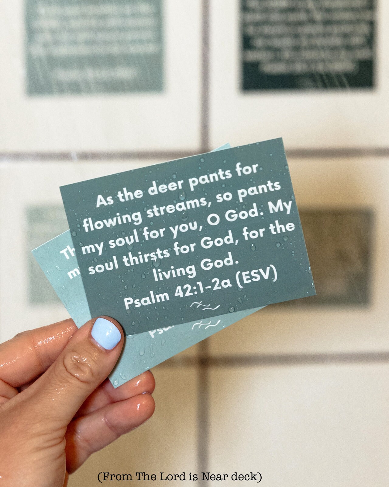 Lament- Shower Bible Verse Card Pack - Etsy