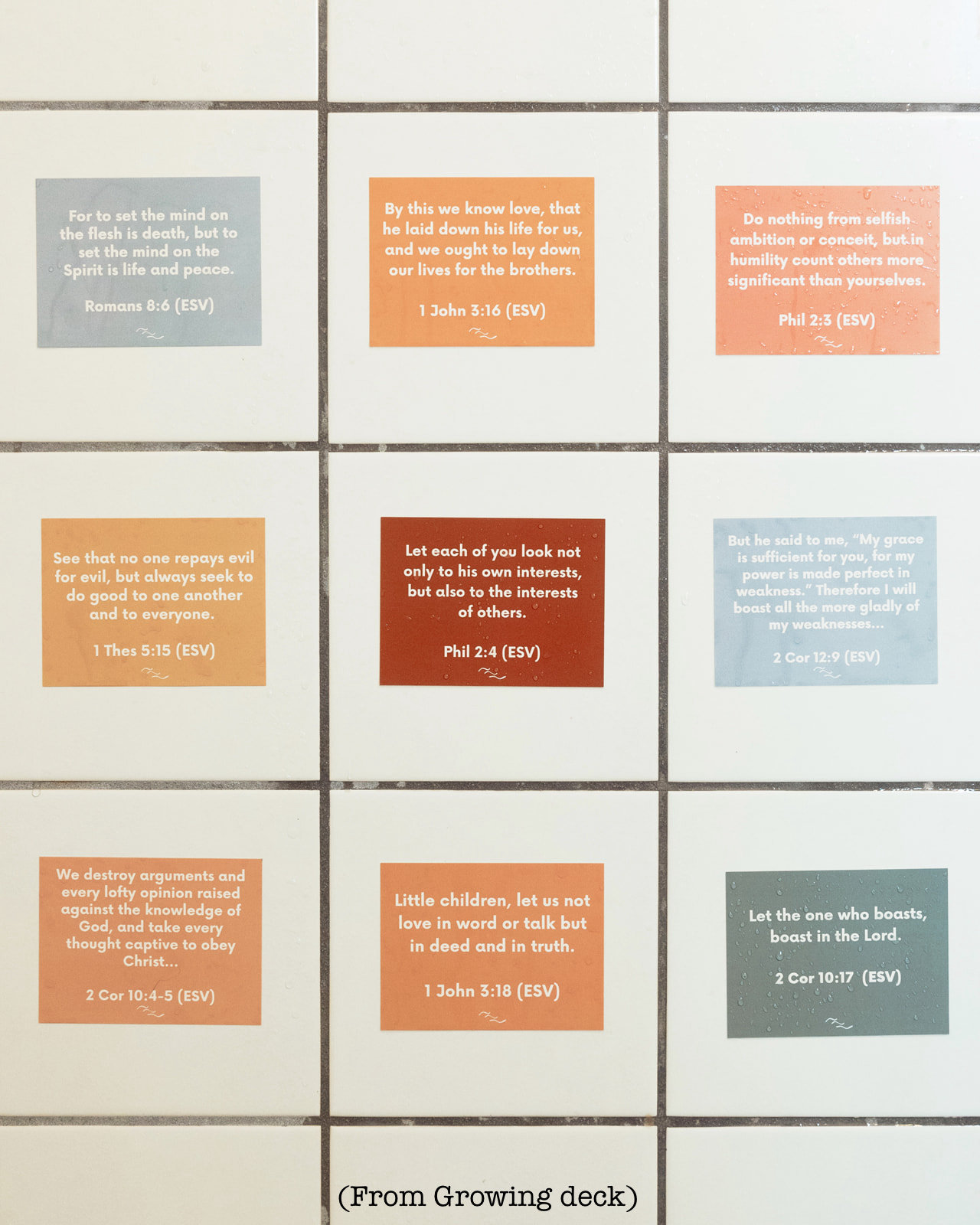 Lament- Shower Bible Verse Card Pack - Etsy