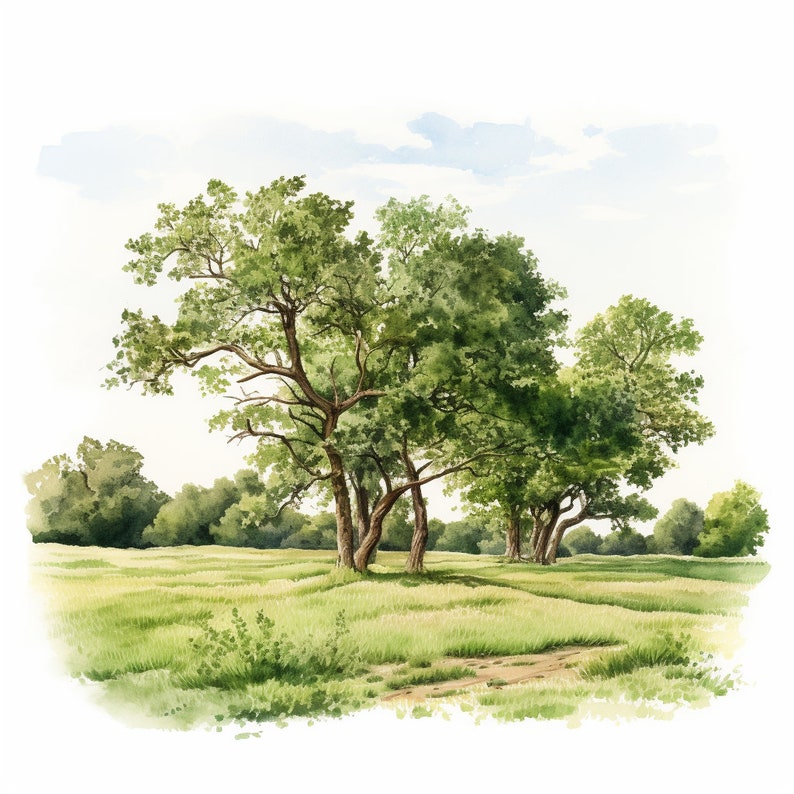 Plant a Oak Tree Gift Rewilding Scotland Sustainable Eco-friendly ...