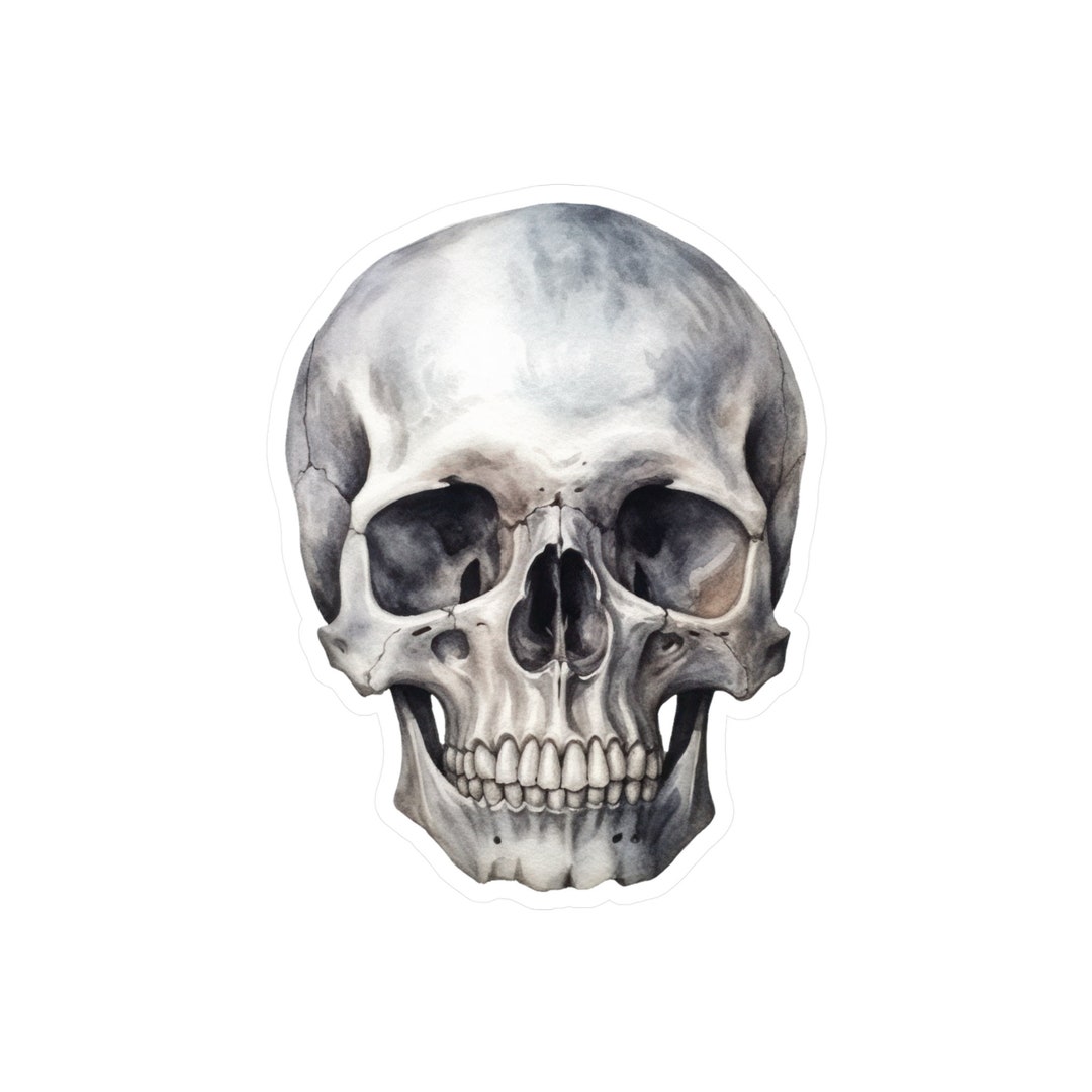Memento Mori Skull Vinyl Decals - Etsy Australia