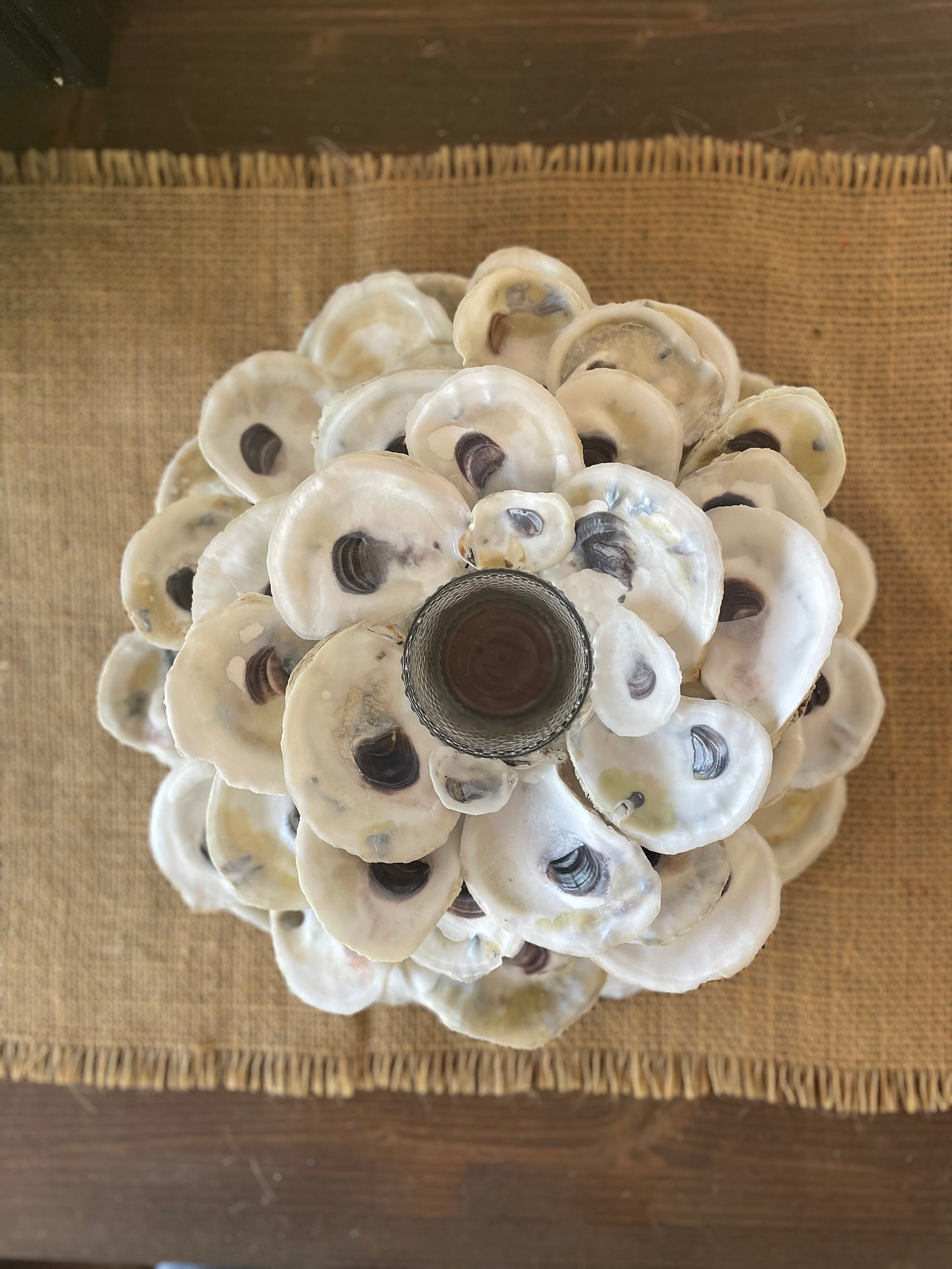 Oyster Shell Candle Holder - Etsy