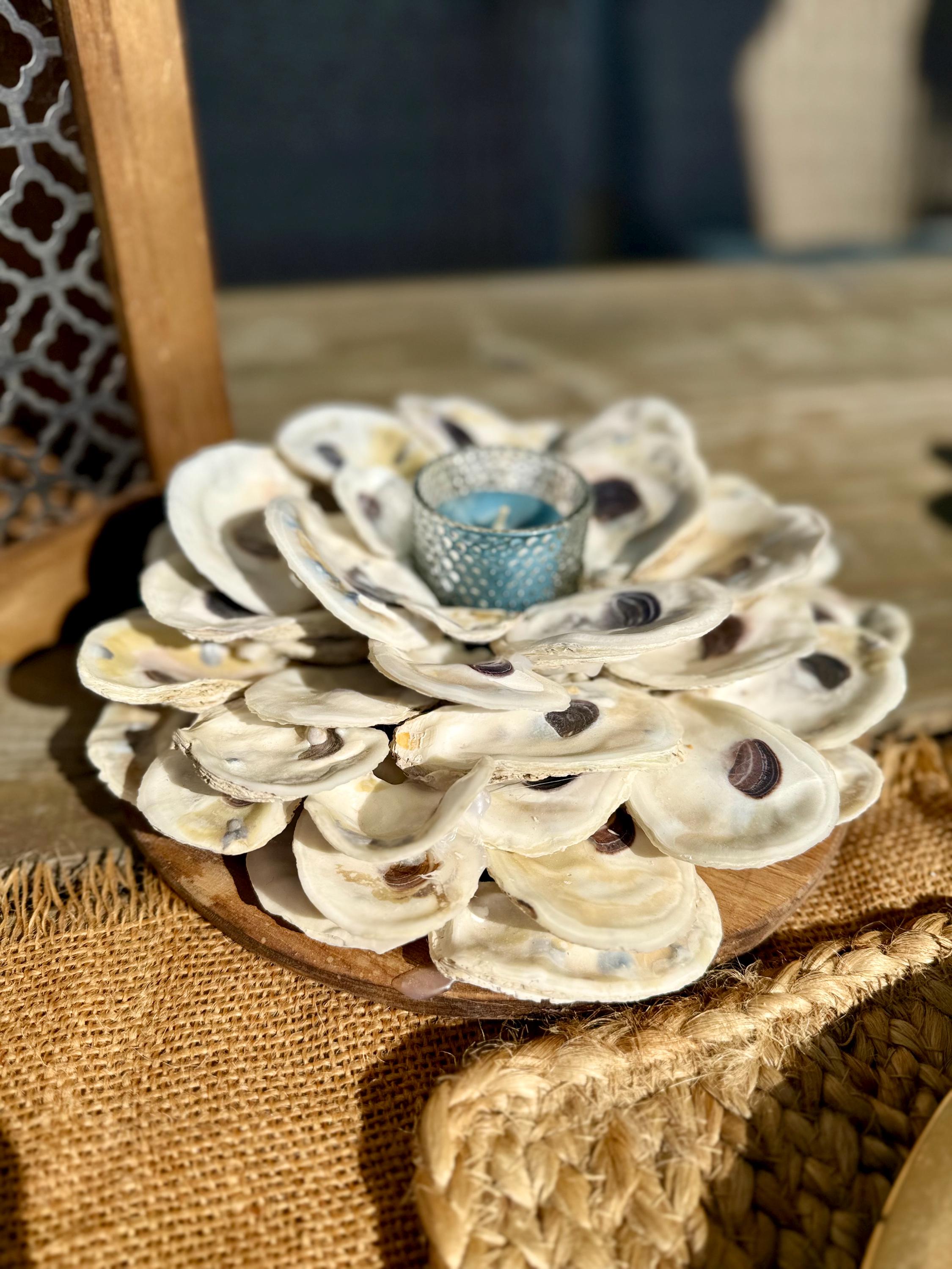 Oyster Shell Candle Holder - Etsy