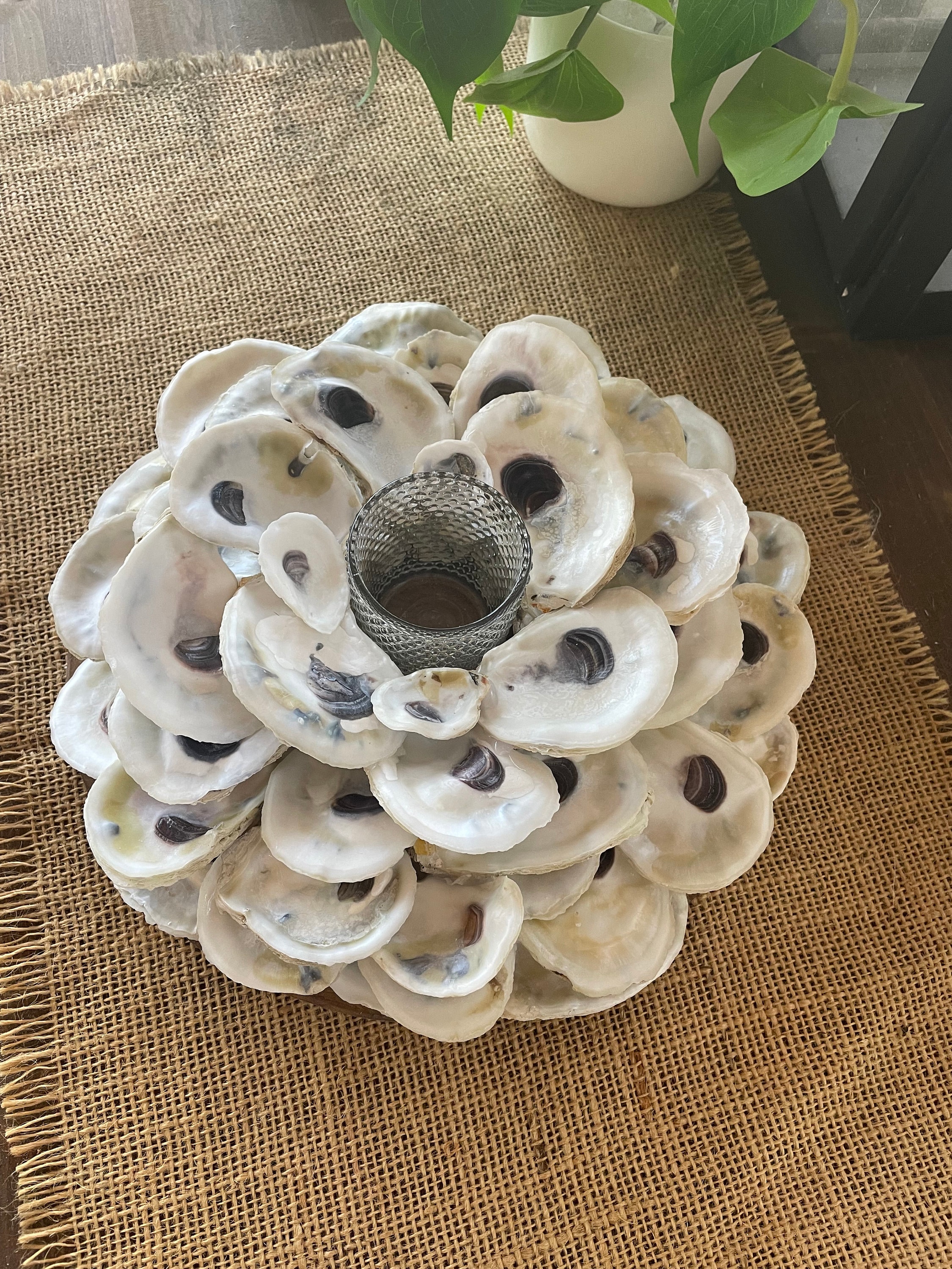 Oyster Shell Candle Holder - Etsy