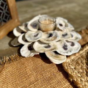 Oyster Shell Candle Holder - Etsy