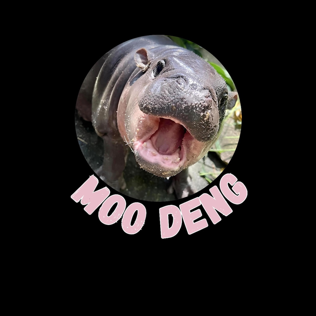 Cute Baby Hippo Moo Deng Bouncy Pig in Thai Hippopotamus Digital PNG ...