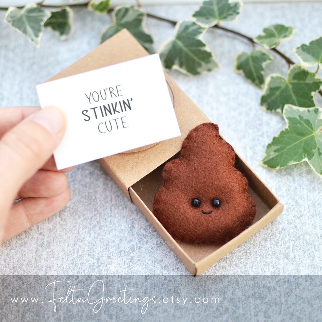 Cute Poop Pun Gift, Felt Poo, Funny Love Gift, Valentines Day Gift ...