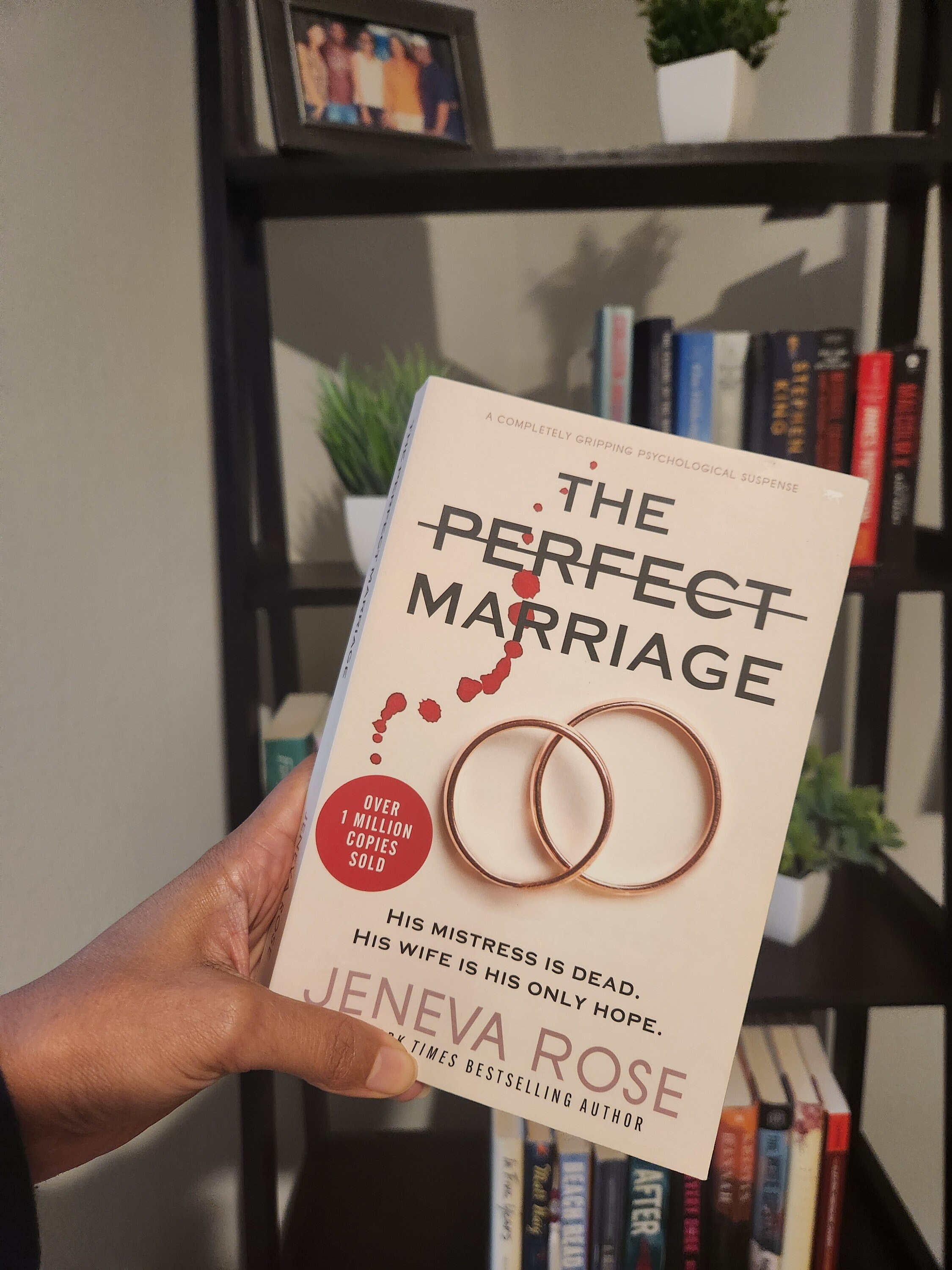 Cozy Book Box double Bookbox - Etsy