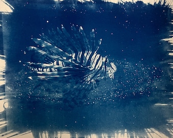 Cyanotype of the Milky Way, 16x20 Handmade Print - Etsy