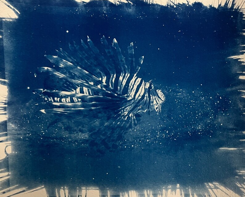 Cyanotype Print - Etsy