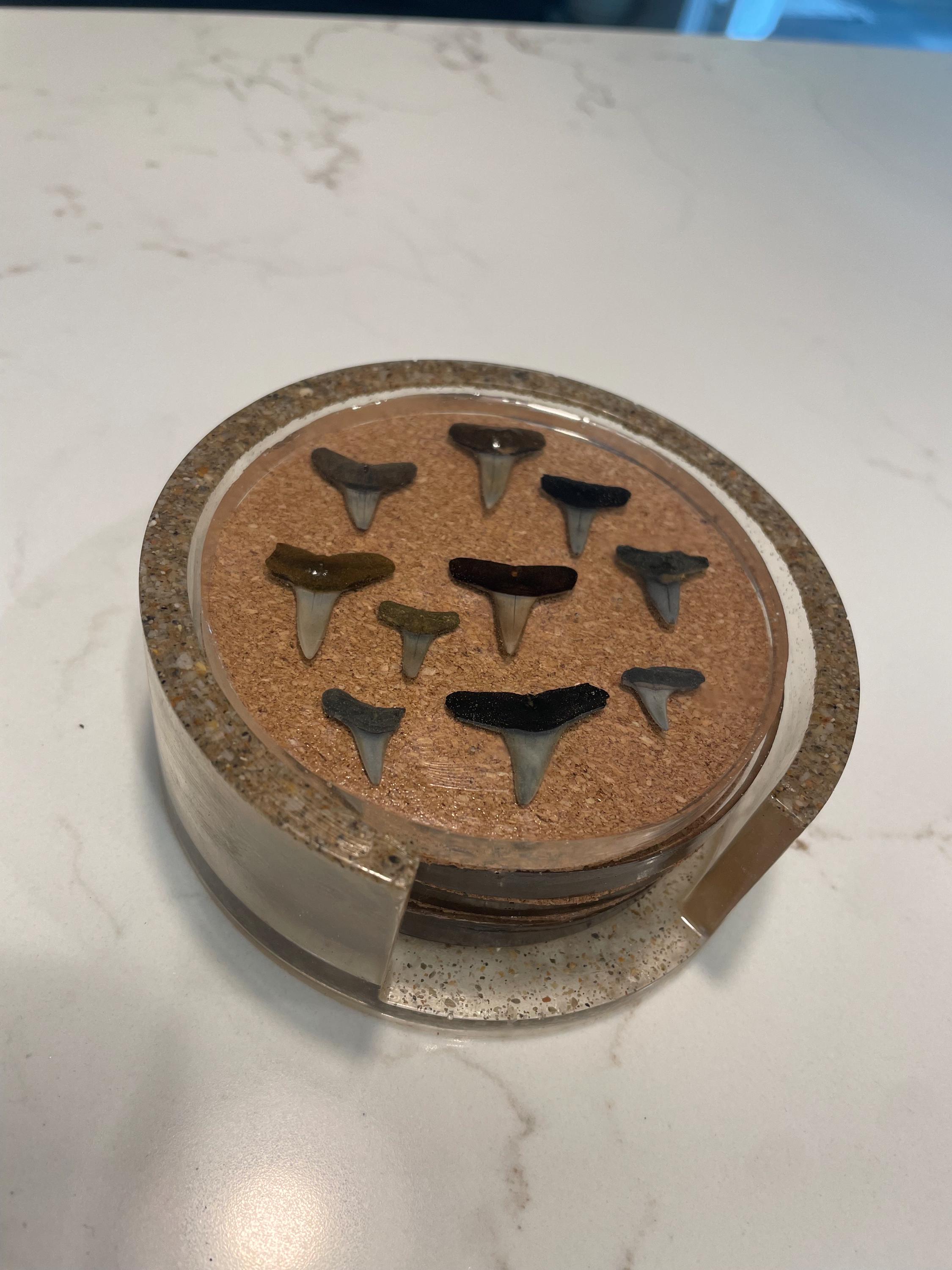 Real Shark Teeth Epoxy Resin Coaster Set, Beach, Sand, Shark Tooth ...