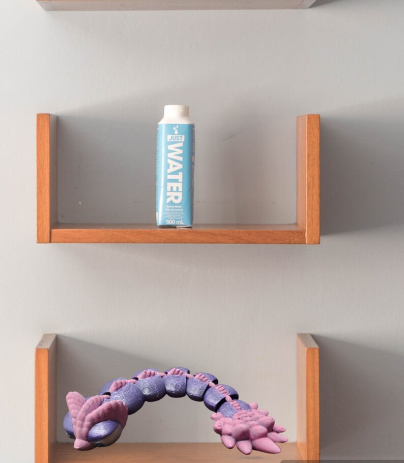 3D Printed Articulate Slinky Dragon - Etsy